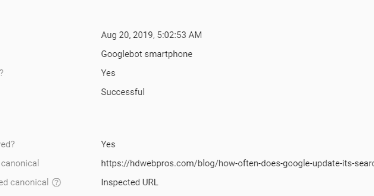 How Often Does Google Update Search Results? What You Need to Know to ...